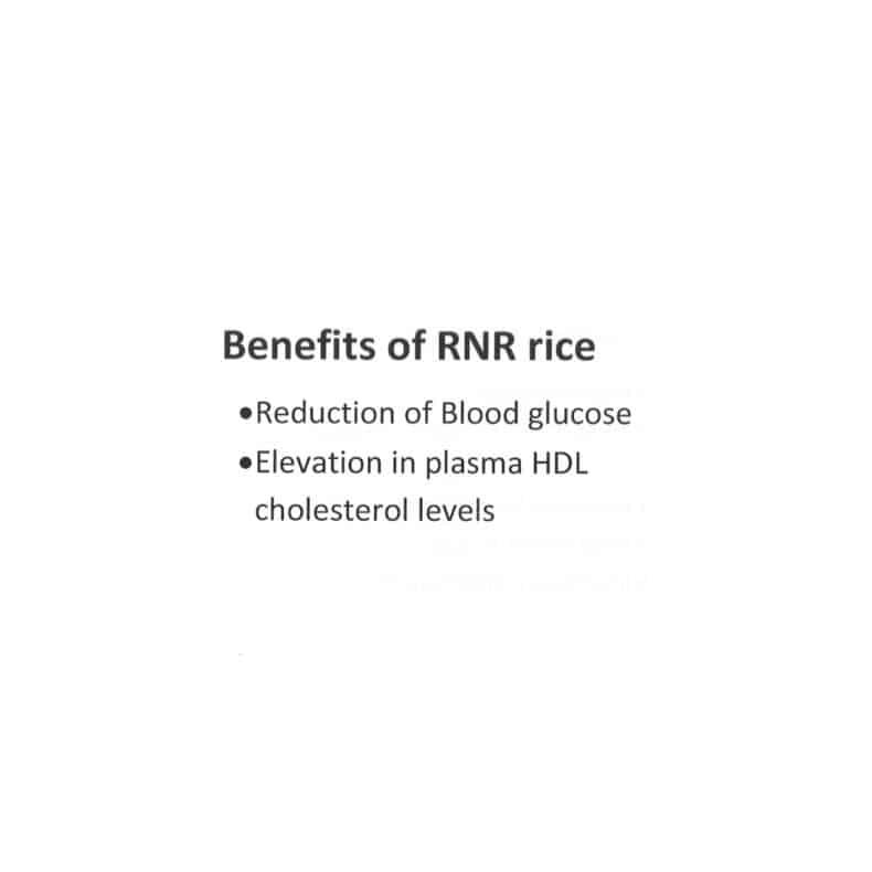 RNR Diabetic Single Polish Rice (15048) – Total Organics